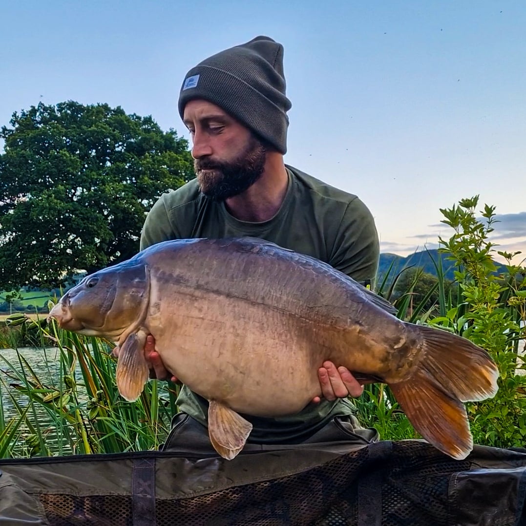 Mr | Total Carp